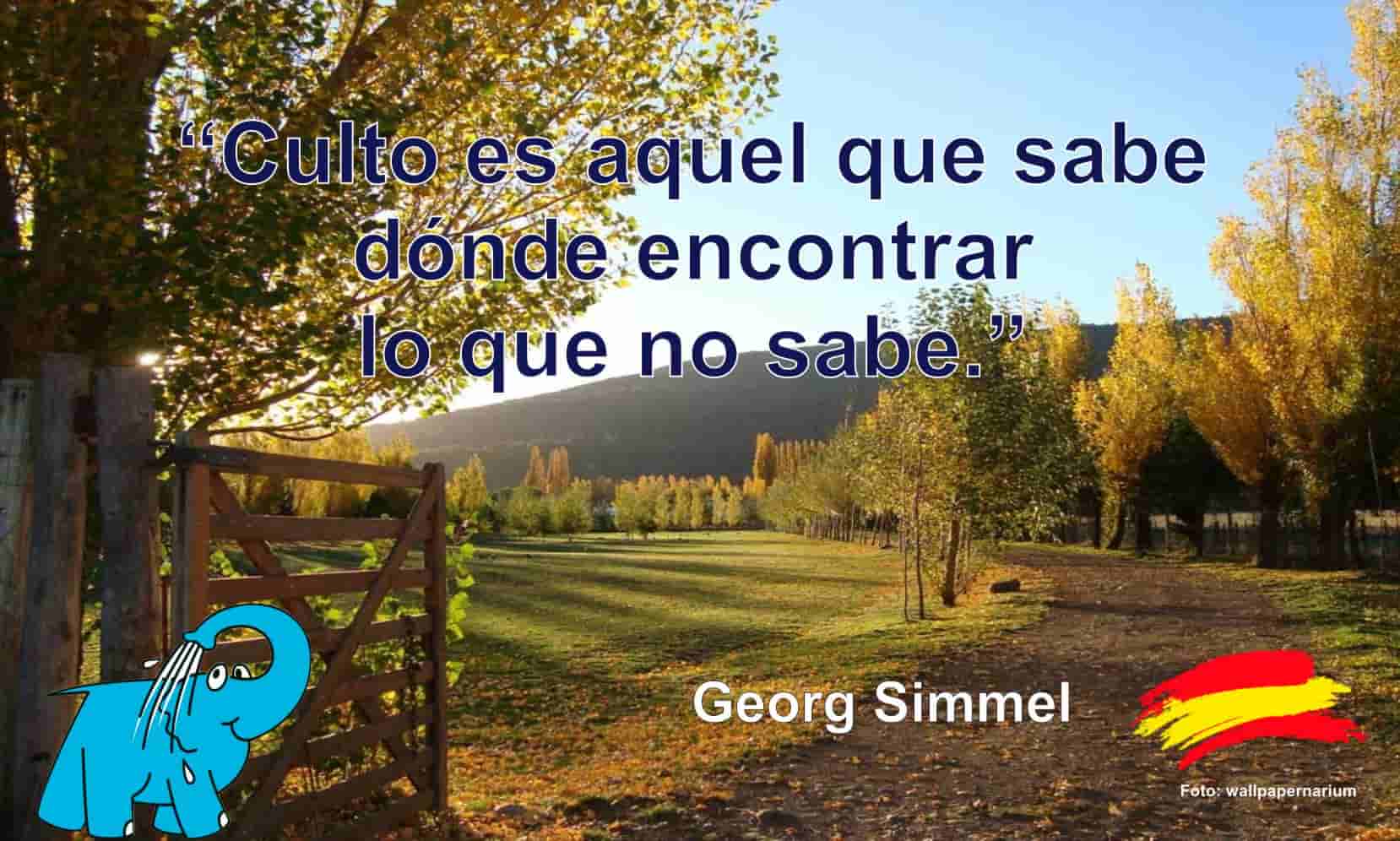 Frase de Georg Simmel sobre La Cultura